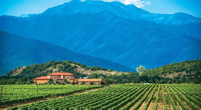 Kakheti Wine Region: Exploring Georgia's Ancient Wine Heartland | GeoWonder